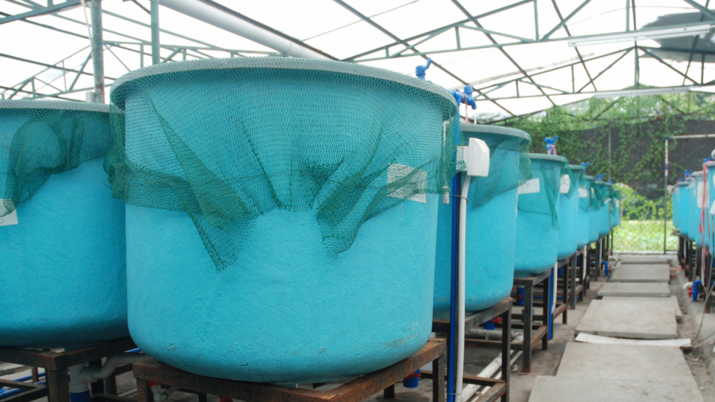 Jurusan Teknologi Perikanan - RBDigital